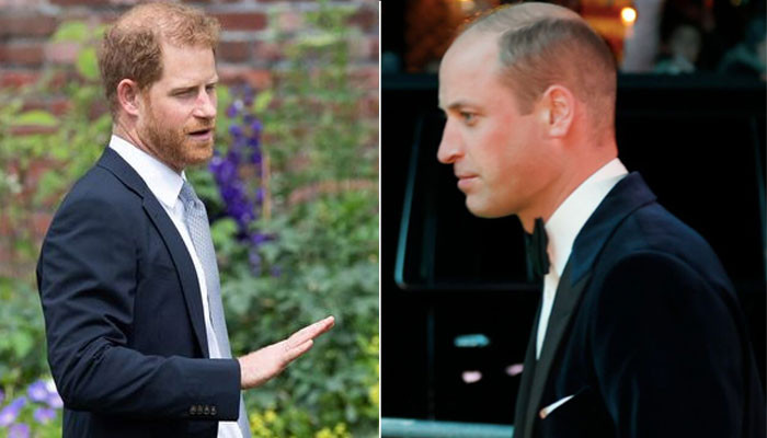 Prince William ‘needs more empathy’ for little brother Prince Harry