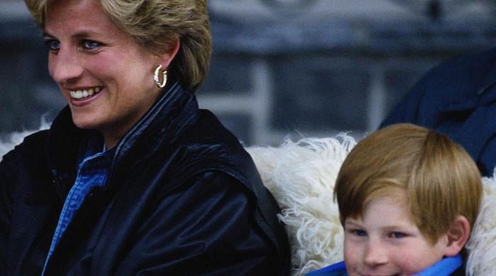 Prince Harry admits 'skiing' reminds him of Princess Diana
