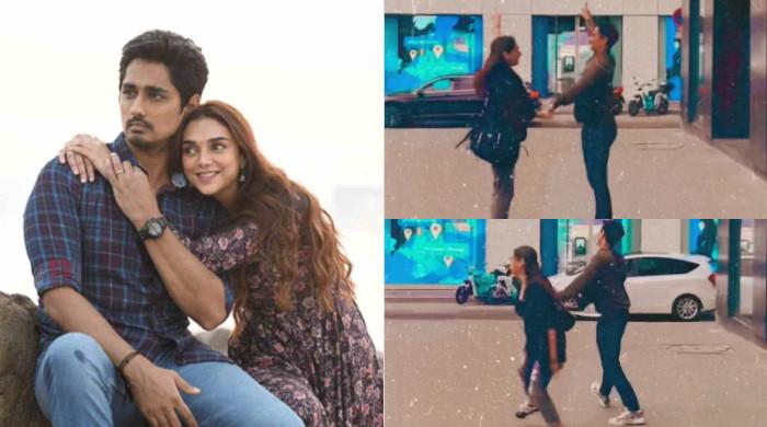 Aditi Rao Hydari Celebrates Siddu Day With Rumoured Bf Siddharth