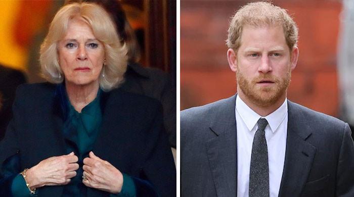 Prince Harry’s attacks on Camilla in ‘Spare’ reveals a ‘brutal irony’