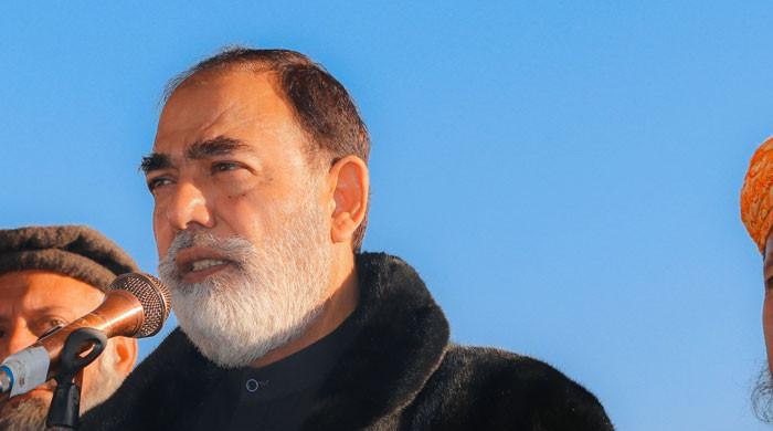 Senator Muhammad Talha Mahmood to head religious affairs ministry