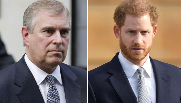 Prince Harry, Andrew leave King Charles to ‘put out royal fires’