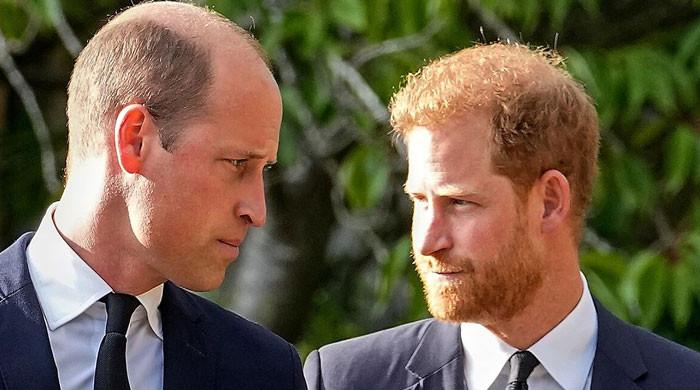 Prince Harry talks about moment he 'outranked' Prince William