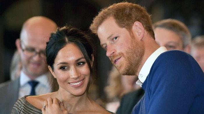 Prince Harry and Meghan Markle ‘hijacking’ the legacy of Princess Diana