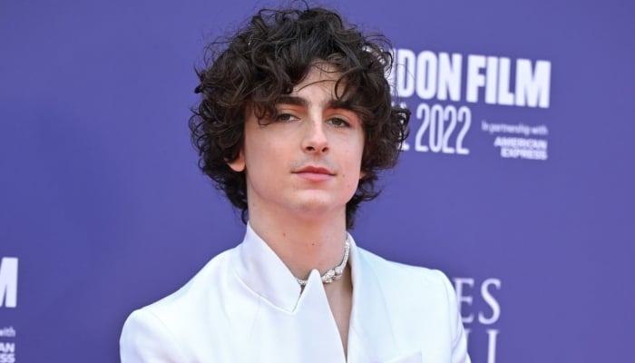 Timothée Chalamet crashes into camera on sets in New York City