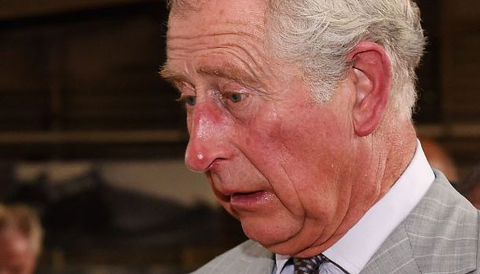 King Charles looks like a ‘self-interested small town mayor'