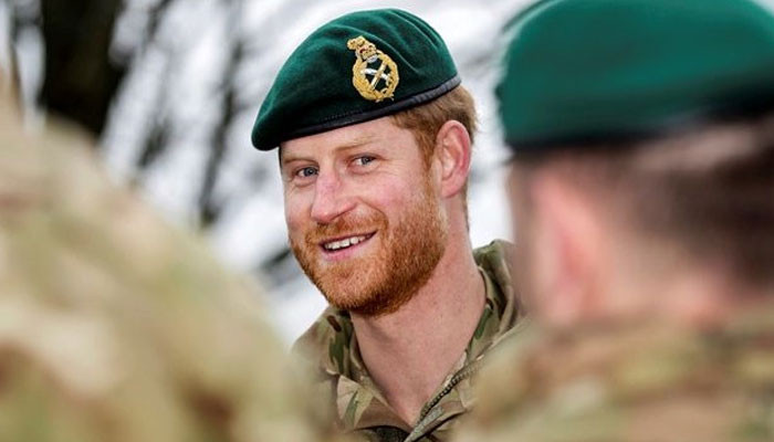 Prince Harry was told war in Afghanistan was 'much safer' than Iraq