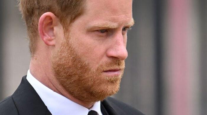 Prince Harry needs a ‘gene’ to remind him of royal lineage