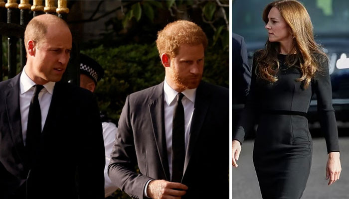 Kate Middleton wants to ‘mend’ Prince William, Harry