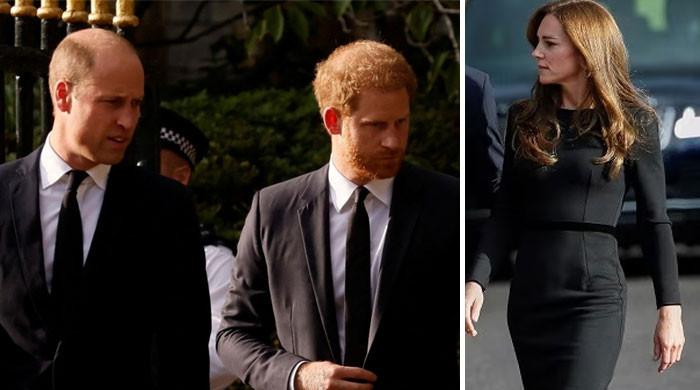 Kate Middleton Wants To ‘mend Prince William Harry