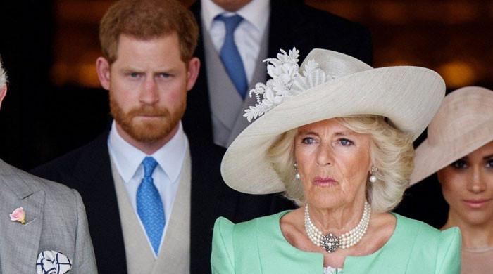 Queen Camilla moved on 'pretty quickly' after Prince Harry bashed her ...