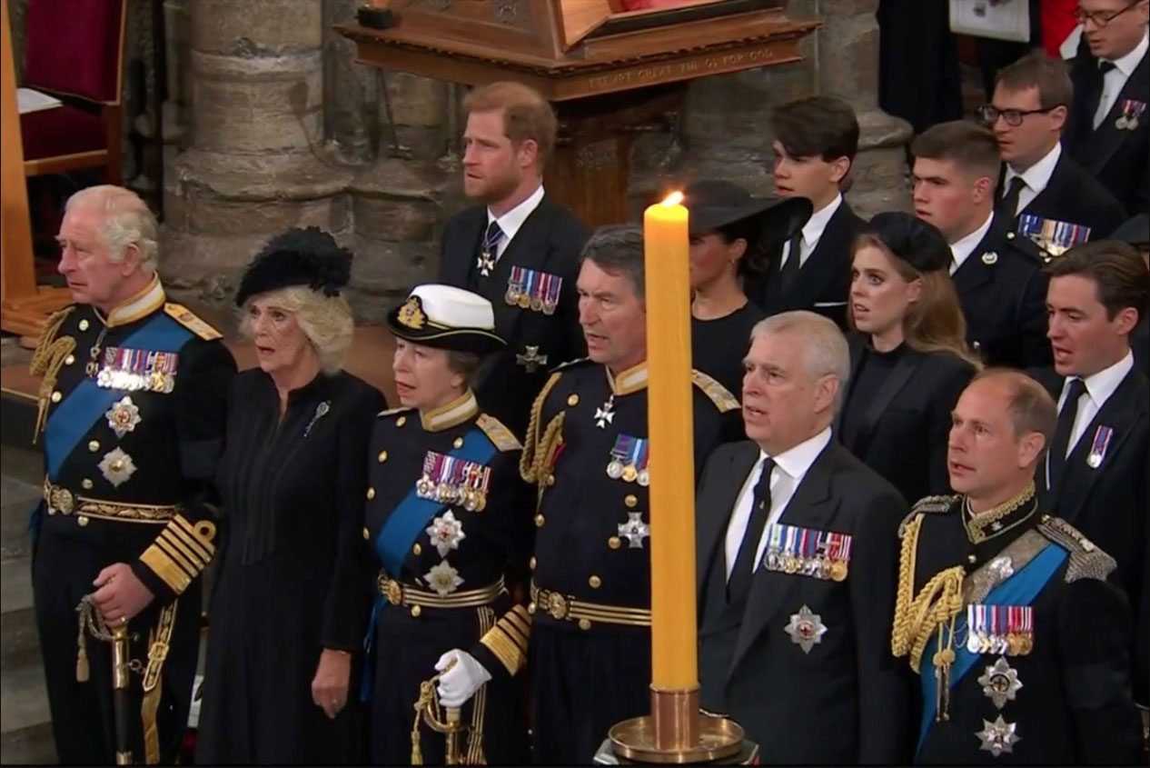 Princess Anne blocks Prince Harry’s face in new new ‘candle scandal’