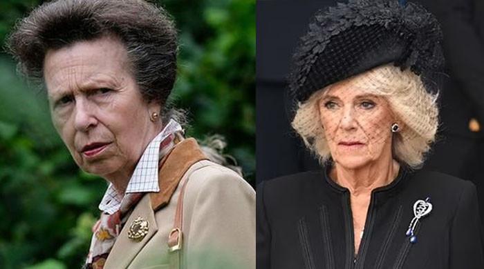 Princess Anne ‘confronted’ Camilla over new ‘Queen’ title: READ Princess Anne ‘confronted’ Camilla over new ‘Queen’ title: READ