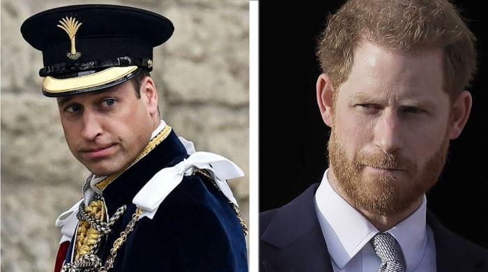 Prince Harry’s living in an ‘American psycho-waffle’