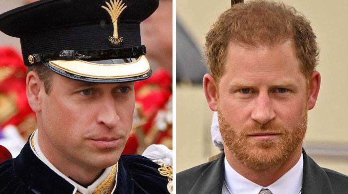 Prince Harry lost his brother Prince William in search of ‘one word’