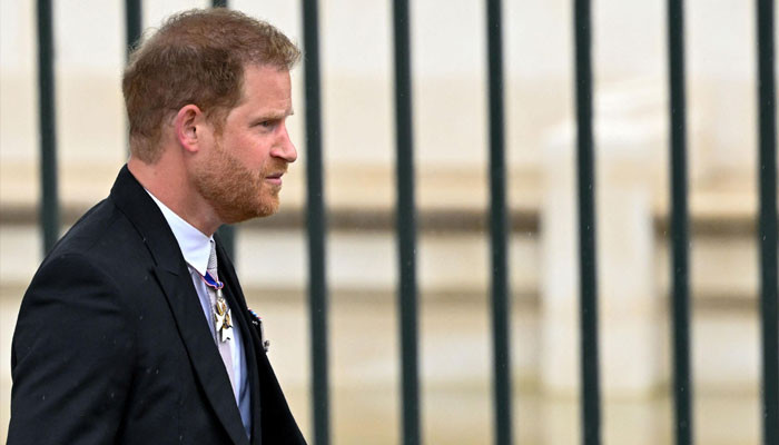 Prince Harry looks ‘lonely, depressed’ like a ‘part of him is missing’