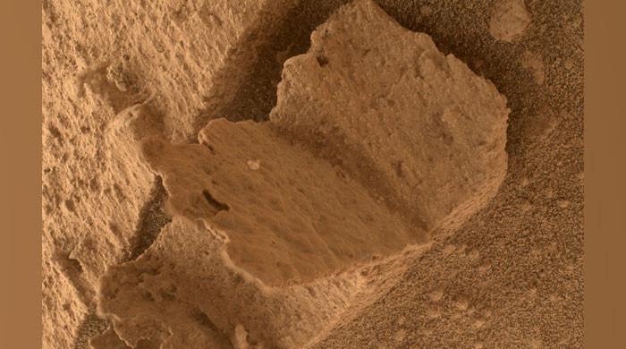Nasa Curiosity mission finds book-shaped rock on Mars