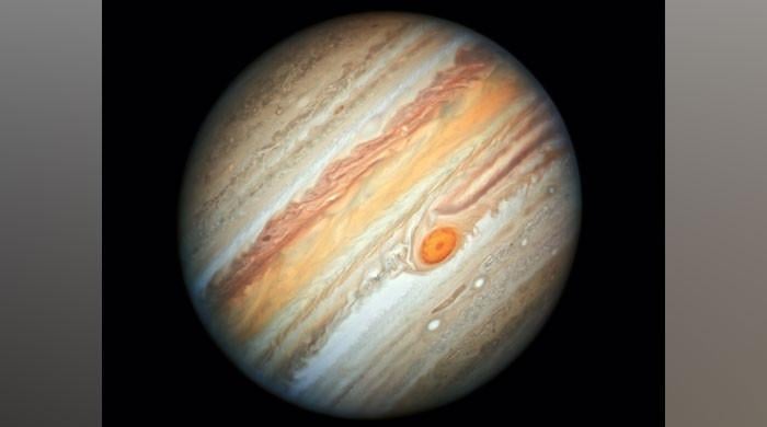 Nasa's Juno spacecraft makes closest flyby of Jupiter's moon lo