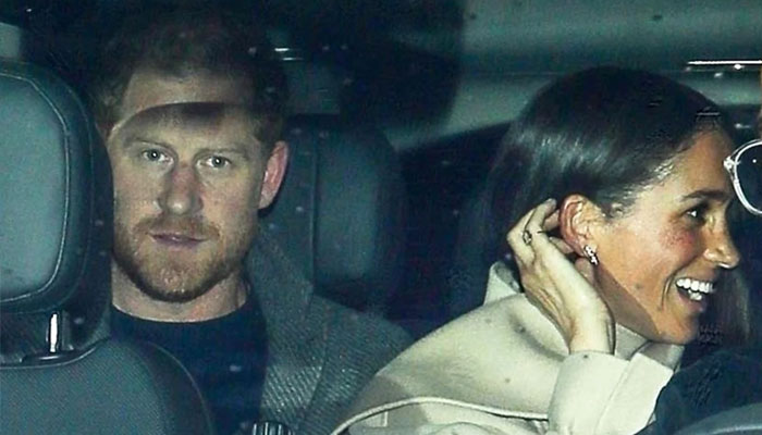 Prince Harry ‘lost Diana under similar circumstances: ‘Seeking court time’