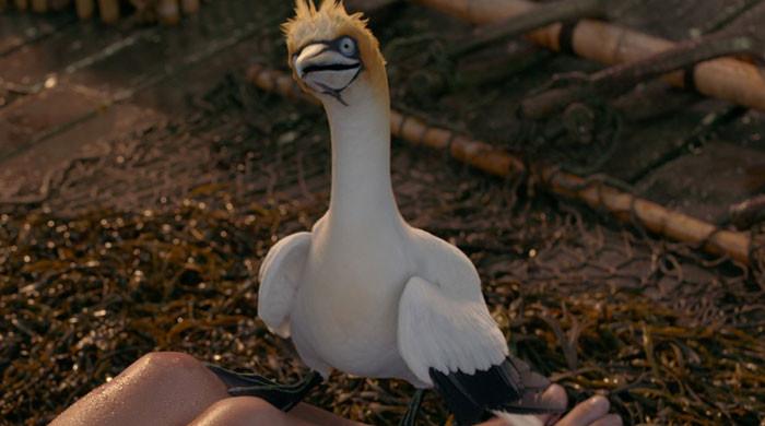 'The Little Mermaid' director reveals why Scuttle is different in remake