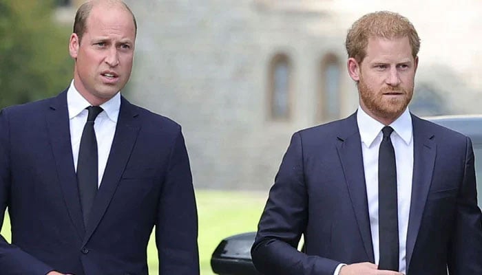 Why Prince Harry, Prince William held secret meeting with Princess ...