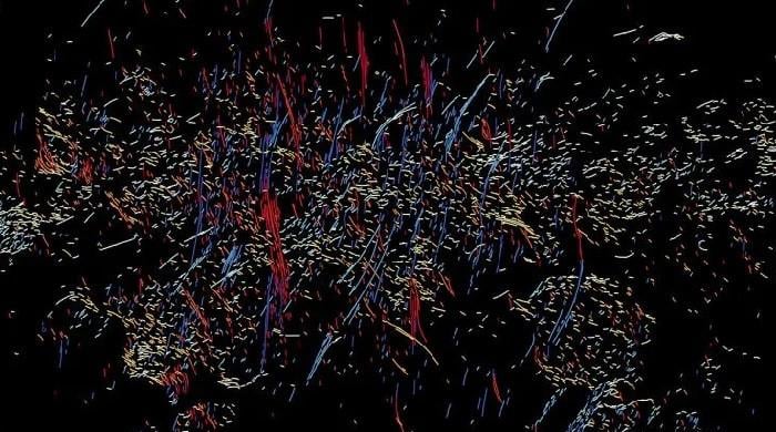 Stunned astronomers finally unravel 'colourful cosmic threads' in Milky Way