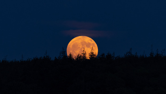 In pictures: Mesmerising strawberry moon illuminates sky