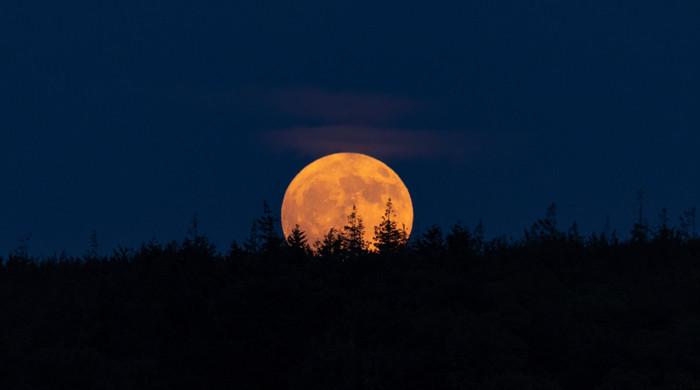 In pictures: Mesmerising strawberry moon illuminates sky