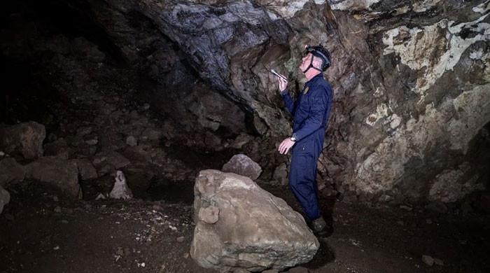 Oldest burial site unearthed in South Africa rewrites human evolution ...
