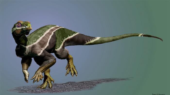 'Recently discovered dinosaur believed to be last of its kind'