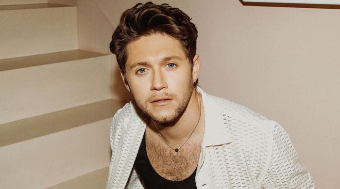 ‘one Direction Star Niall Horan Reveals He Became ‘recluse After Band