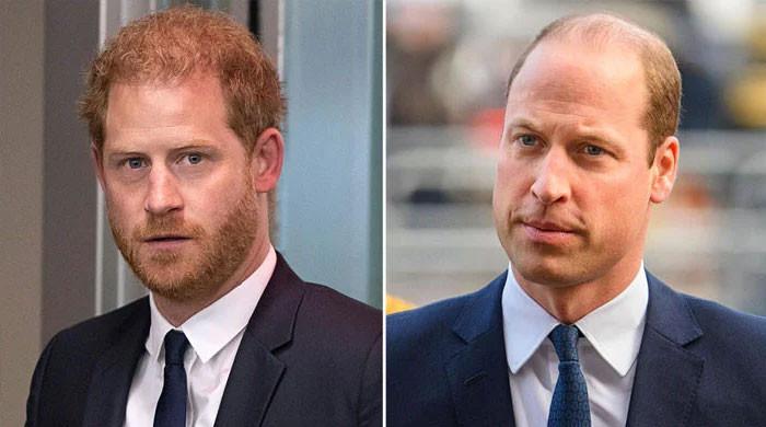 Prince Harry’s ‘unhappiness in an aimless battle’ is ‘far too destructive'