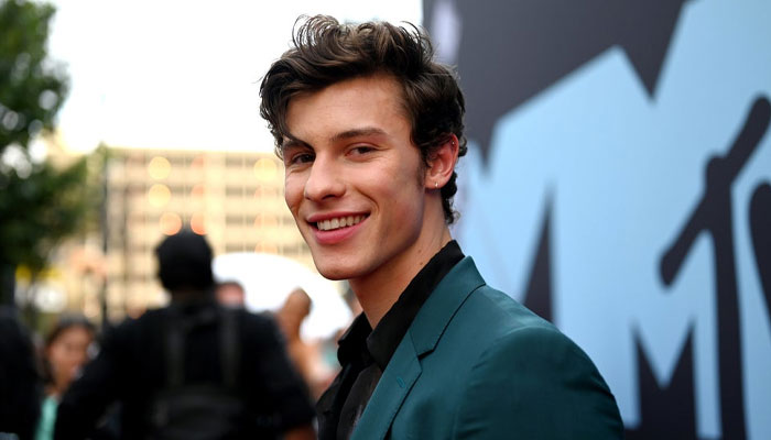 Shawn Mendes gets candid about his ‘struggles’ amid new song release Shawn Mendes gets candid about his ‘struggles’ amid new song release