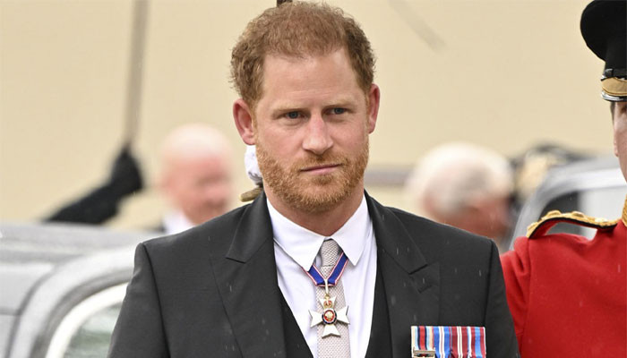 Italian Prince believes Prince Harry is ‘suffering’ following Megxit