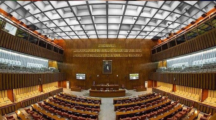 Senate chairman perks: PPP senator calls for revisiting private member ...
