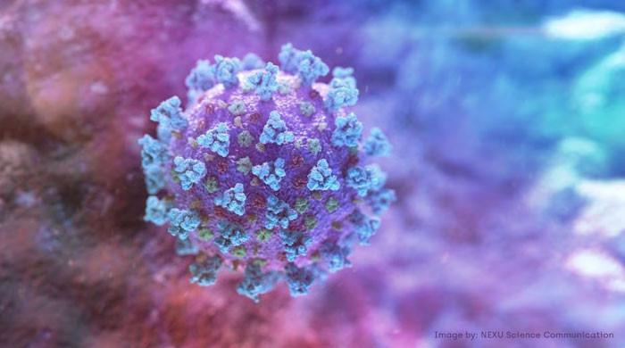 Is the world ready for this new virus after COVID?