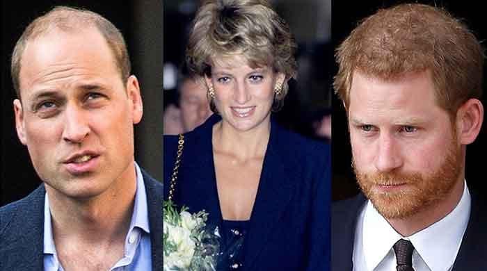 Prince William, Harry's rift will never be healed?