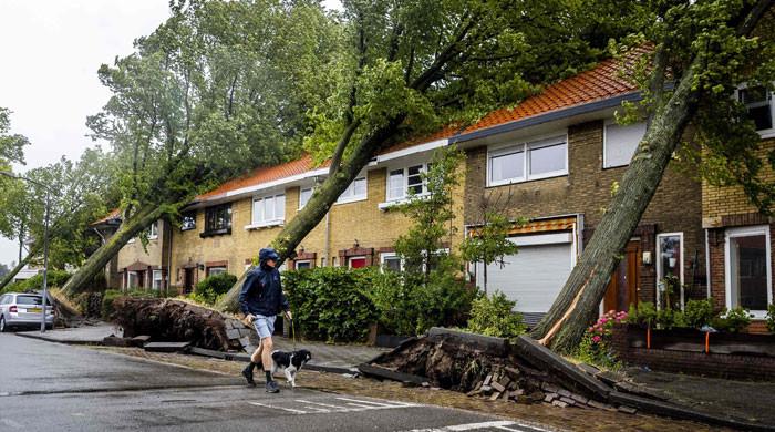One dead as rare summer storm wreaks havoc in Netherlands