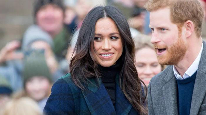Prince Harry, Meghan Markle are fronting ‘yet another con’ Prince Harry, Meghan Markle are fronting ‘yet another con’