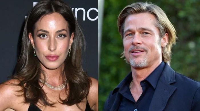 Brad Pitt receives support from Ines De Ramon amid legal war with ...