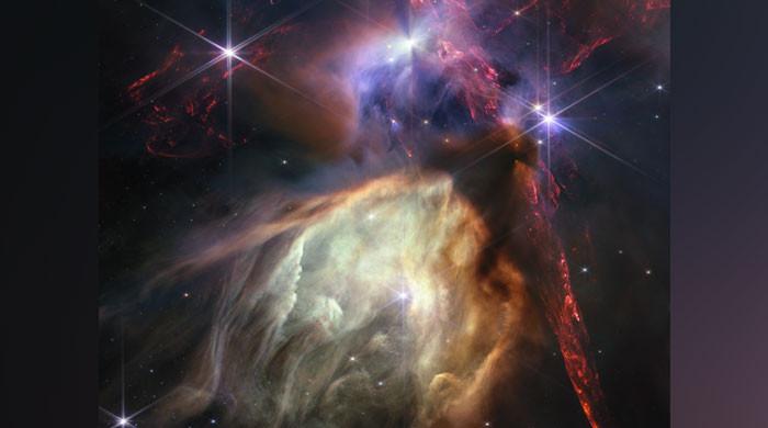 WATCH: JWST marks year into mission with magnificent star birth pictures