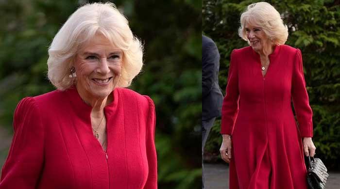 New shocking revelation about Queen Camilla's funding