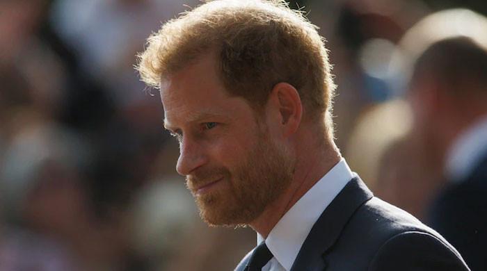 Prince Harry’s ‘noble suffering at his reptilian family’s hands’ to ...