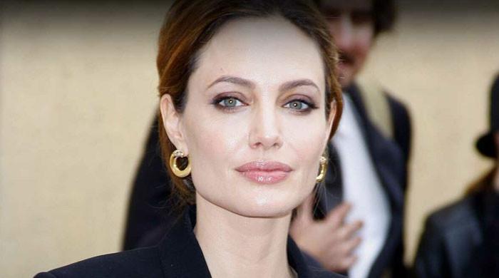 Angelina Jolie Paves Way For Domestic Violence Law After Brad Pitt