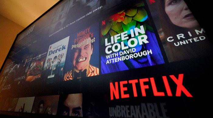 Netflix grows robustly despite password-sharing crackdown