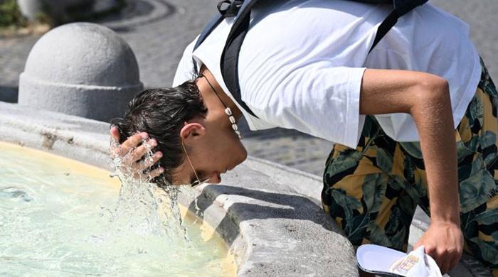 Surviving the heat: What strategy cities adopt to save lives from ...