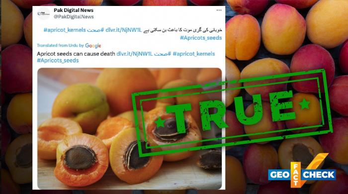 Fact-check: Eating large amounts of apricot seeds can cause cyanide ...
