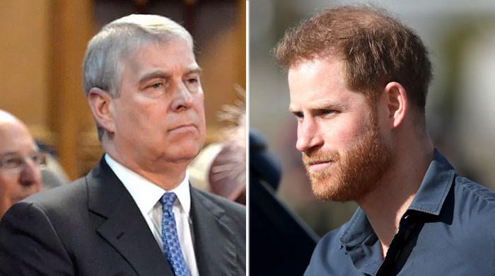 Prince Harry, Prince Andrew branded ‘sources of Palace strain’: ‘Total ...