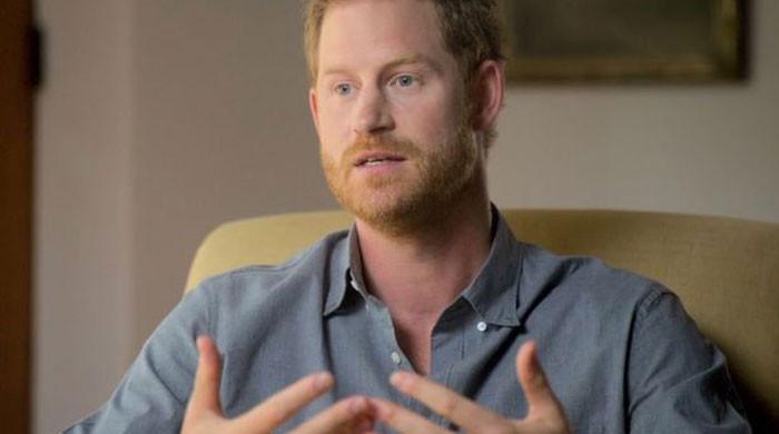 Prince Harry planning to ‘resurrect’ himself: ‘Swing his mallet’