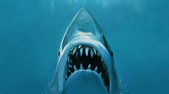 'The Meg 2' director Ben Wheatley is die-hard fan of 'Jaws'